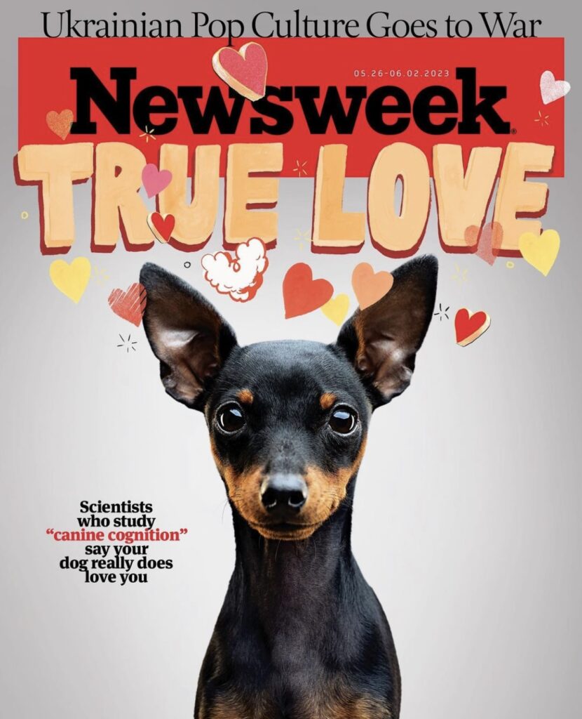 Coverjunkie | Newsweek (uk) - Coverjunkie